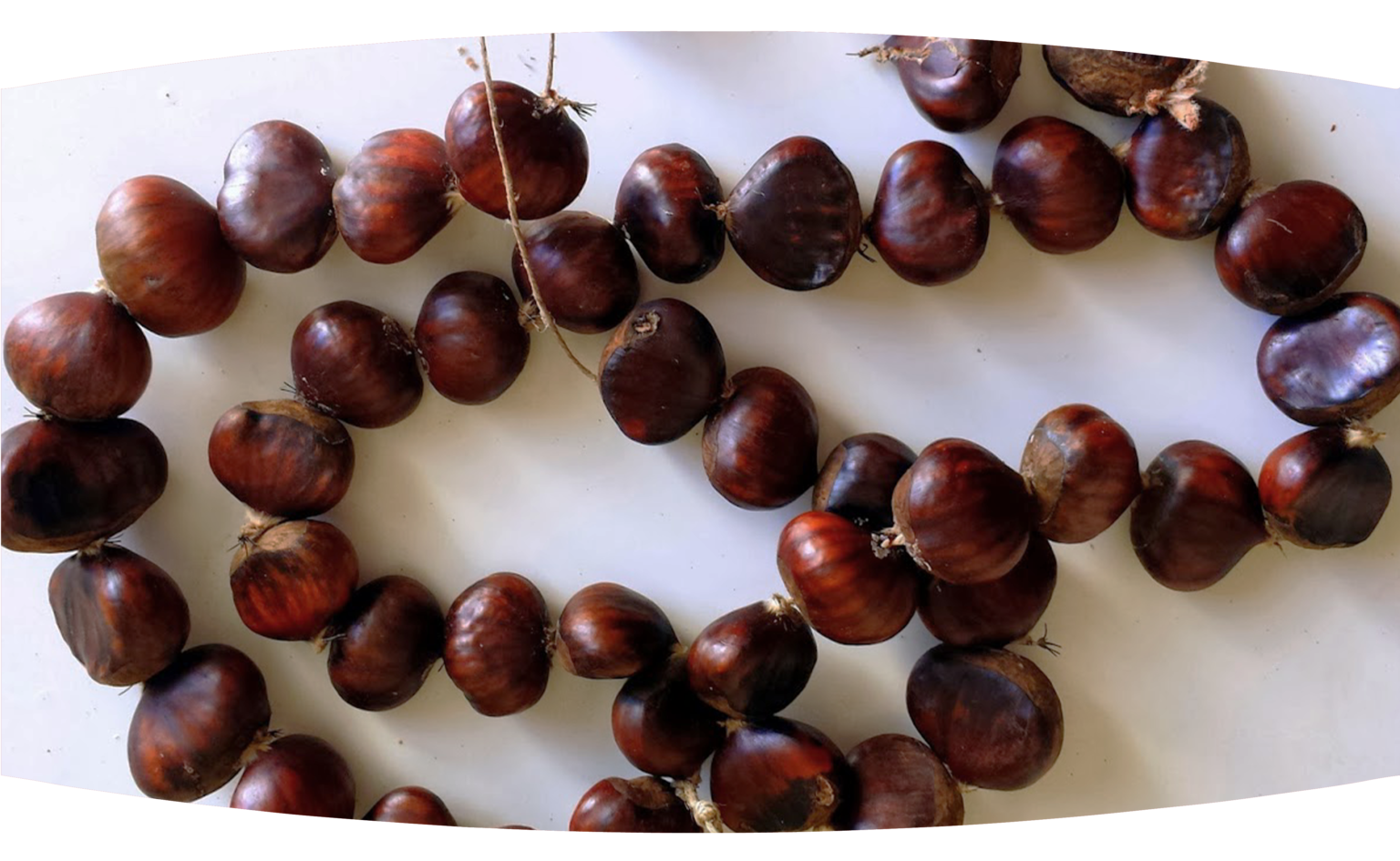 ¿Conoces la tradición del collar de zonchos? - Aceites Abril
